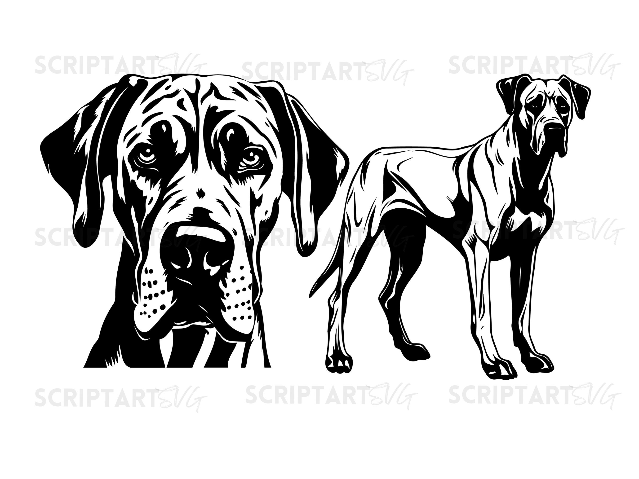 Great Dane SVG File Silhouette Great Dane Profile Vector Images Clipart ...