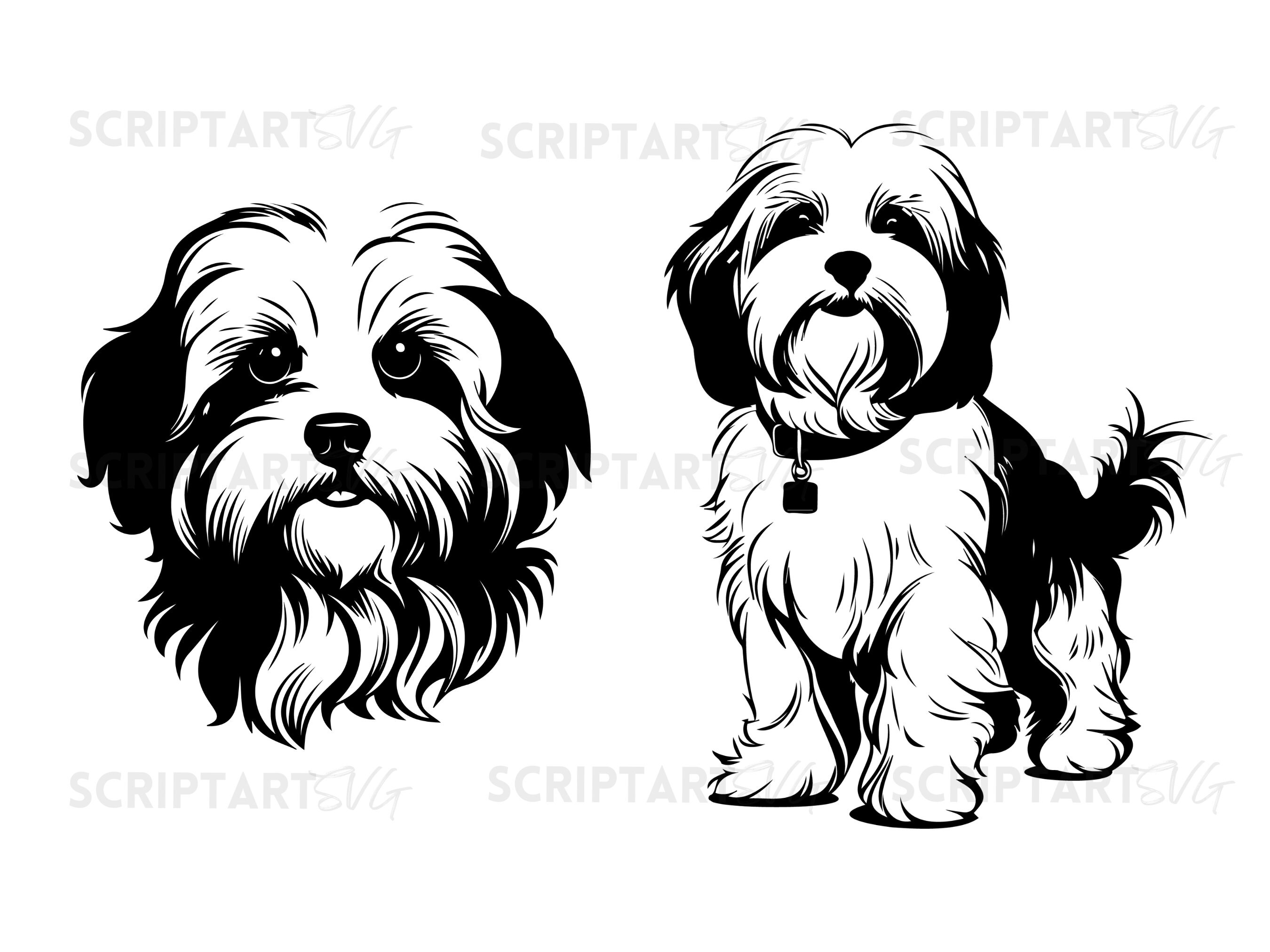 Havanese SVG File Silhouette Havanese Profile Vector Images Clipart Dog ...