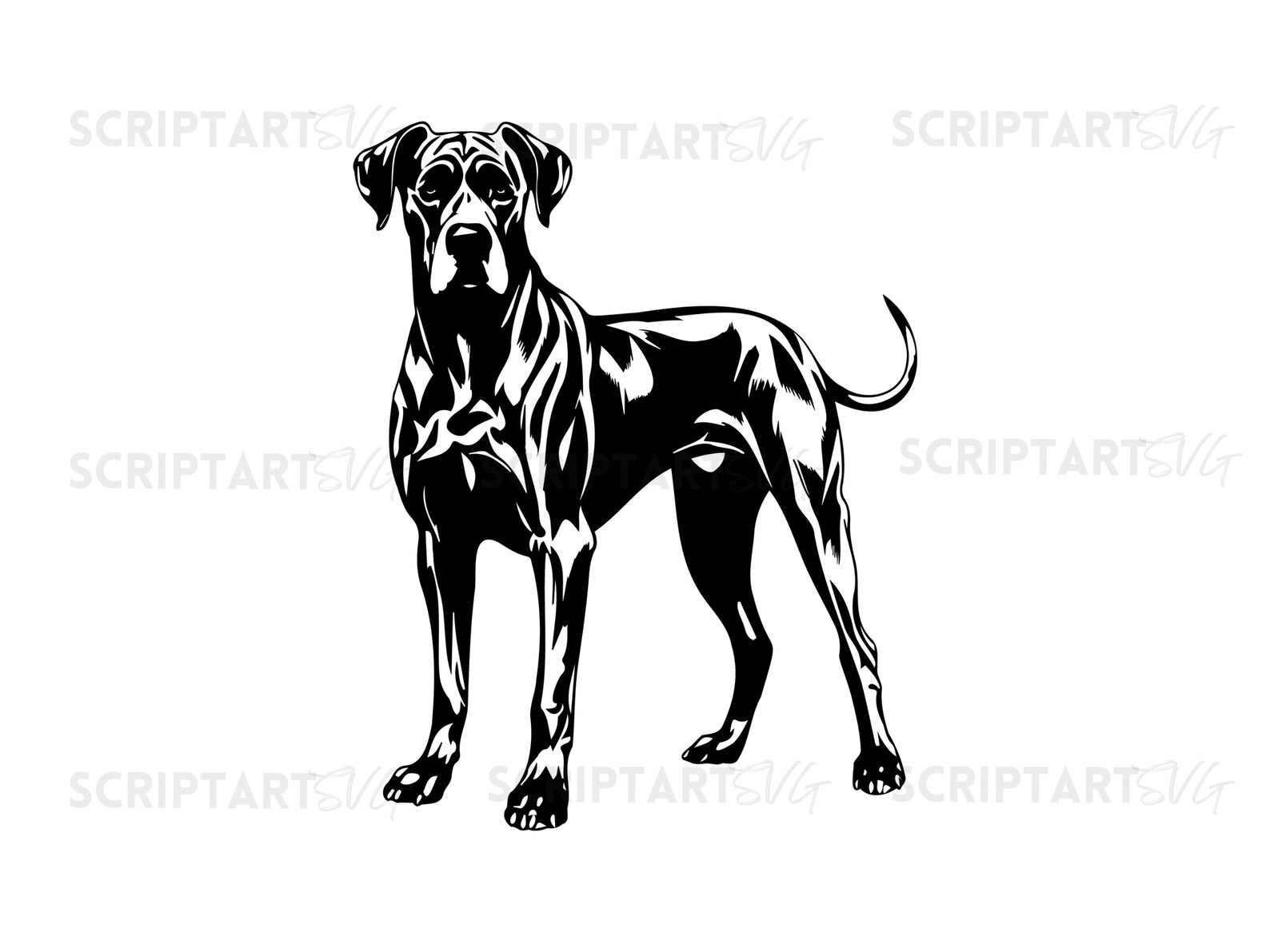 Great Dane SVG File Silhouette Great Dane Profile Vector Images Clipart ...