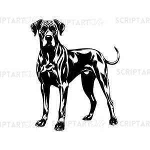 Great Dane SVG File Silhouette Great Dane Profile Vector Images Clipart ...