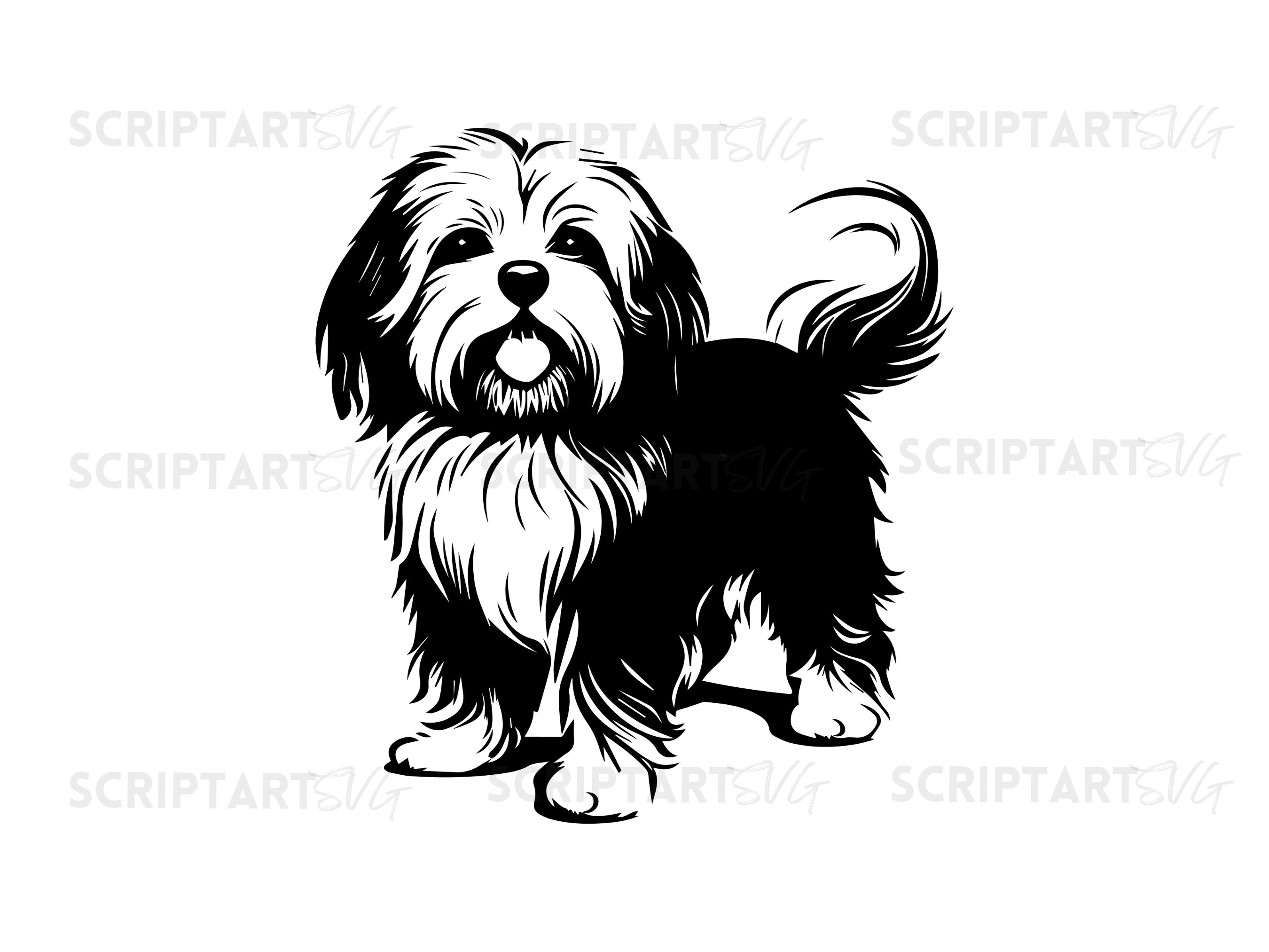 Havanese SVG File Silhouette Havanese Profile Vector Images Clipart Dog ...