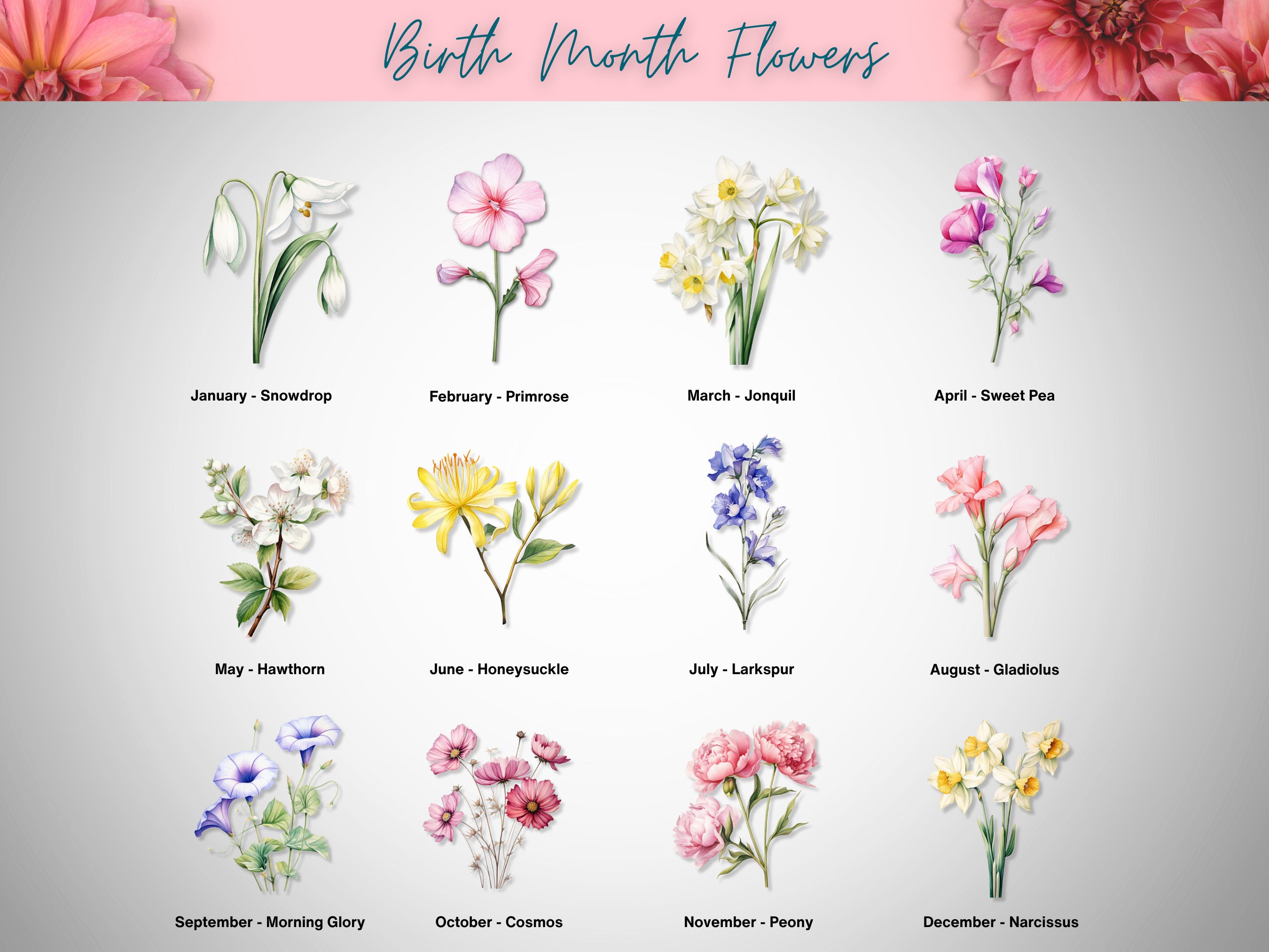 Birth Month Flowers Clipart PNG Set Watercolor Watercolor Floral PNG ...