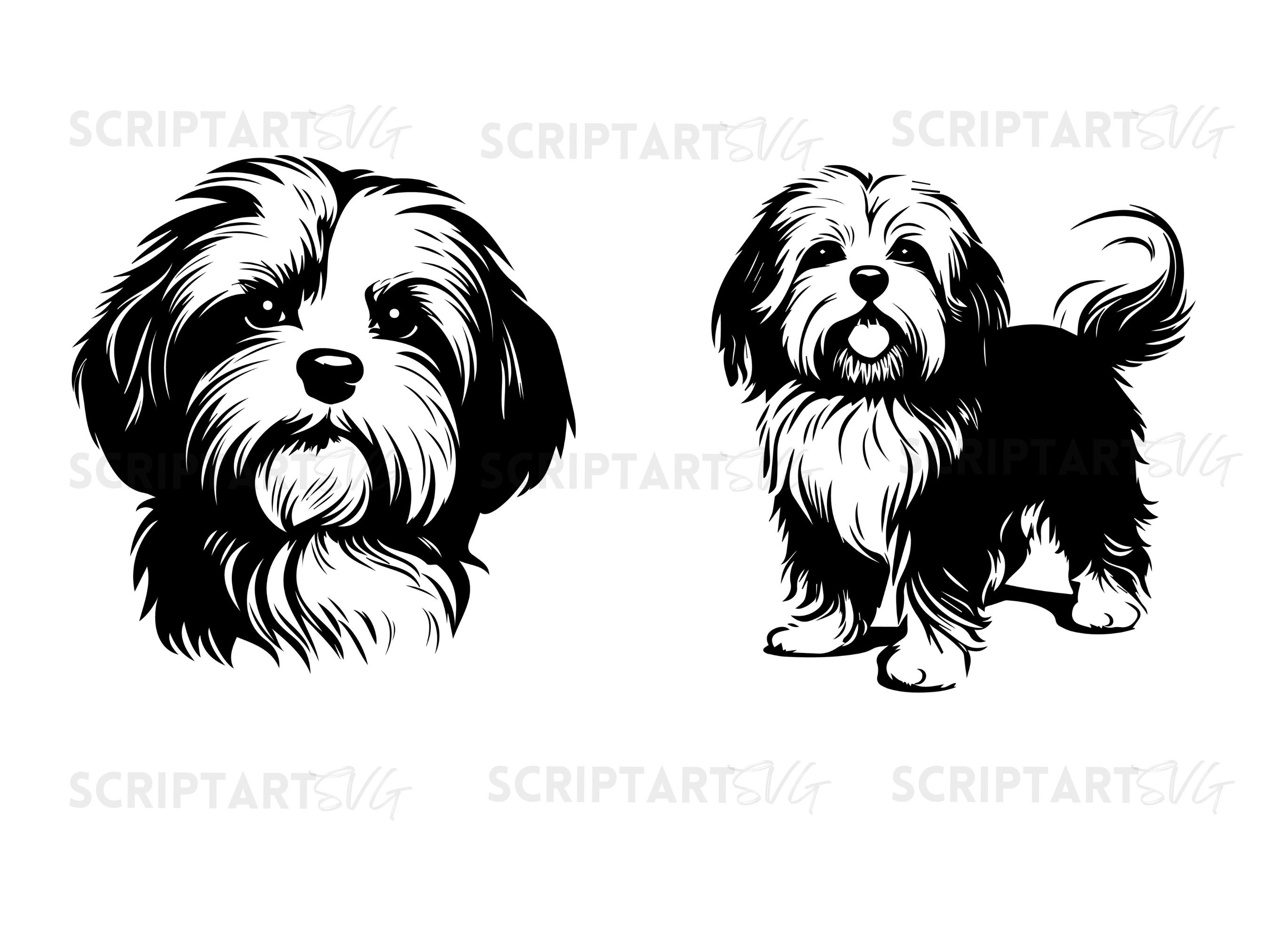 Havanese SVG File Silhouette Havanese Profile Vector Images Clipart Dog ...