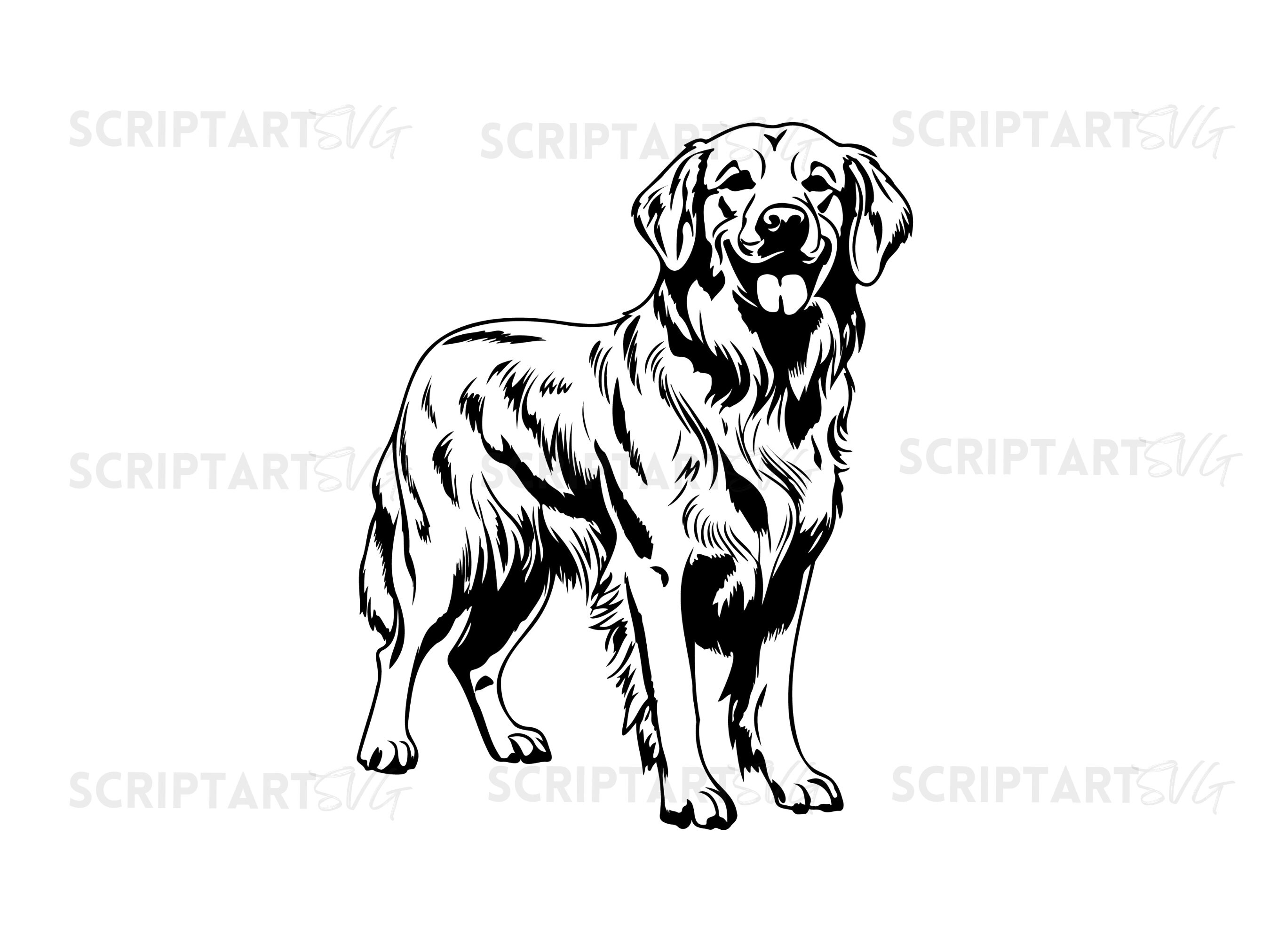 Golden Retriever SVG File Silhouette Golden Retriever Profile Vector ...