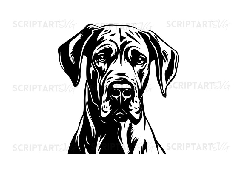 Great Dane SVG File Silhouette Great Dane Profile Vector Images Clipart ...