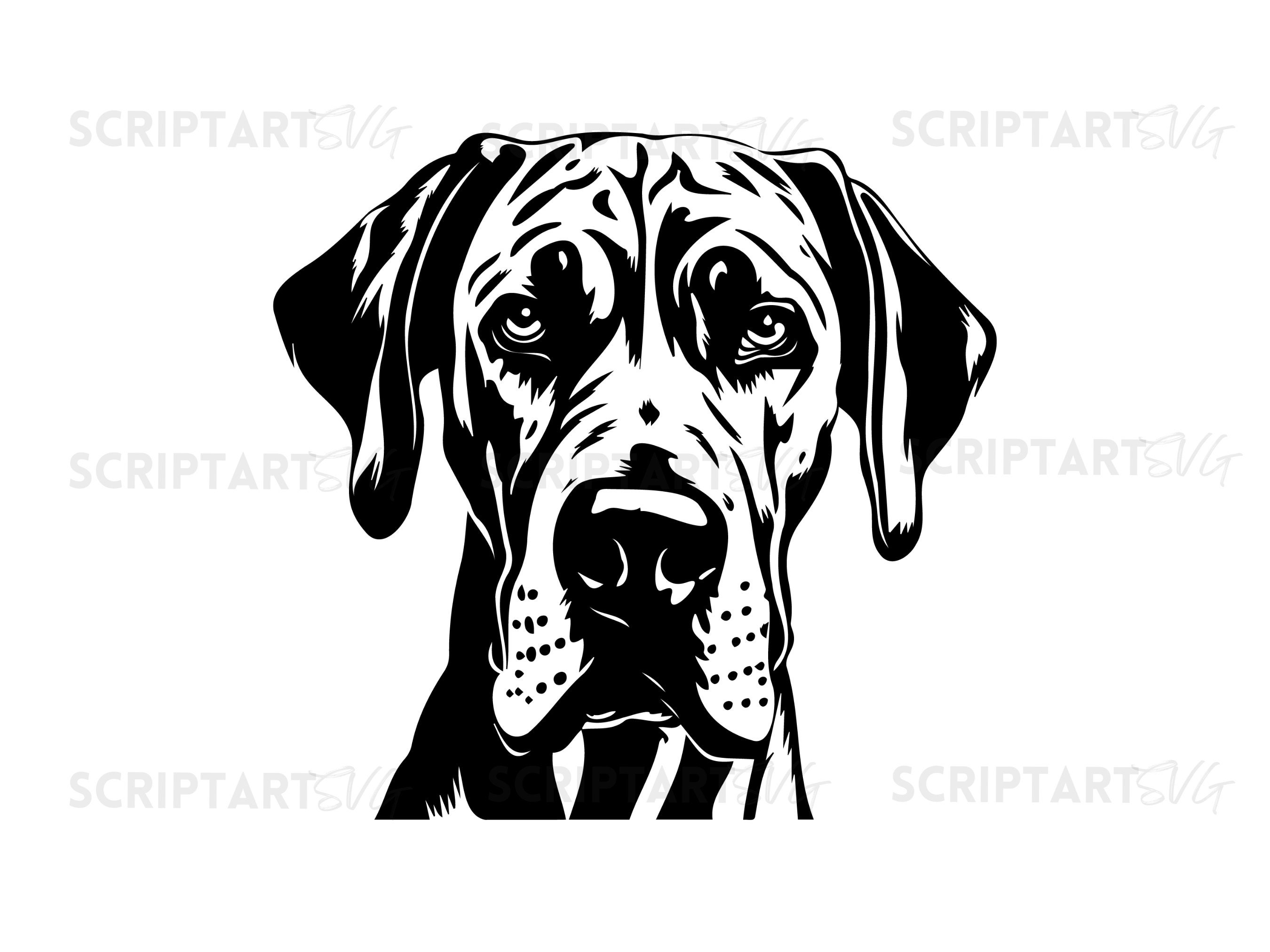 Great Dane SVG File Silhouette Great Dane Profile Vector Images Clipart ...
