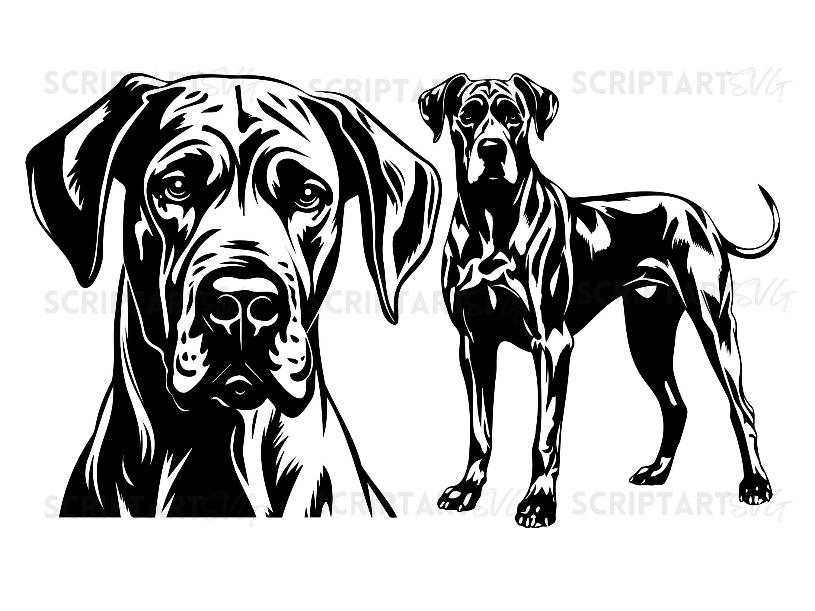 Great Dane SVG File Silhouette Great Dane Profile Vector Images Clipart ...