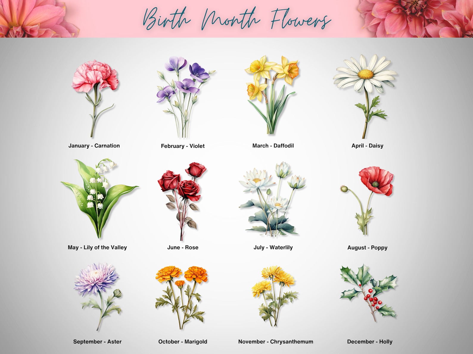 Birth Month Flowers Clipart PNG Set Watercolor Watercolor Floral PNG ...