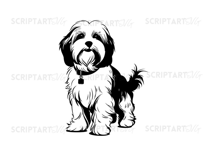 Havanese SVG File Silhouette Havanese Profile Vector Images Clipart Dog ...