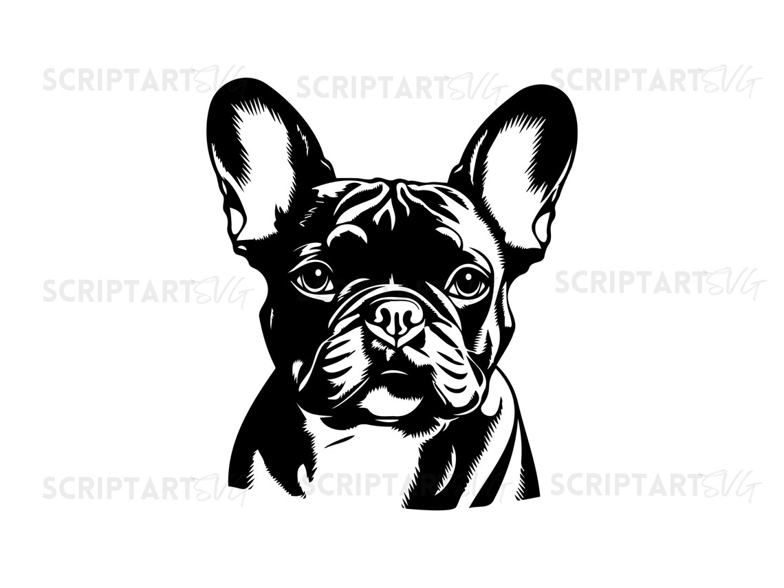 French Bulldog SVG File Silhouette French Bulldog Profile Vector Images ...