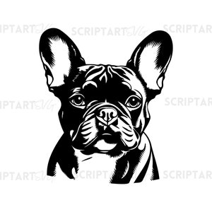 French Bulldog SVG File Silhouette French Bulldog Profile Vector Images ...