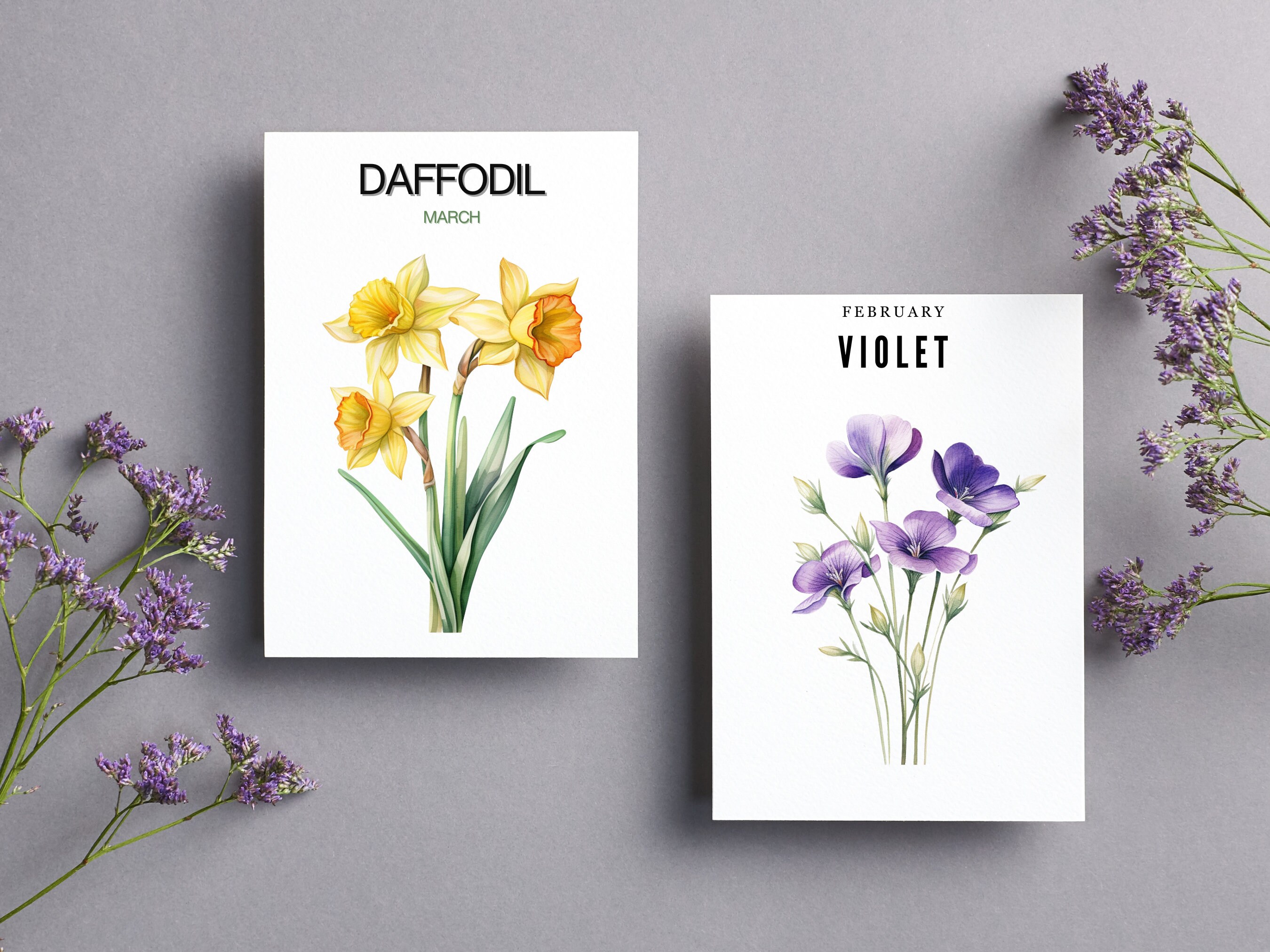 Birth Month Flowers Clipart PNG Set Watercolor Watercolor Floral PNG ...