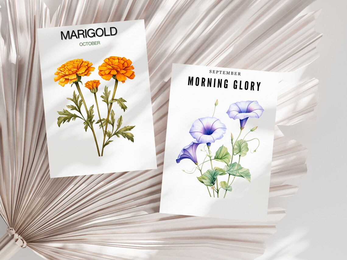 Birth Month Flowers Clipart PNG Set Watercolor Watercolor Floral PNG ...