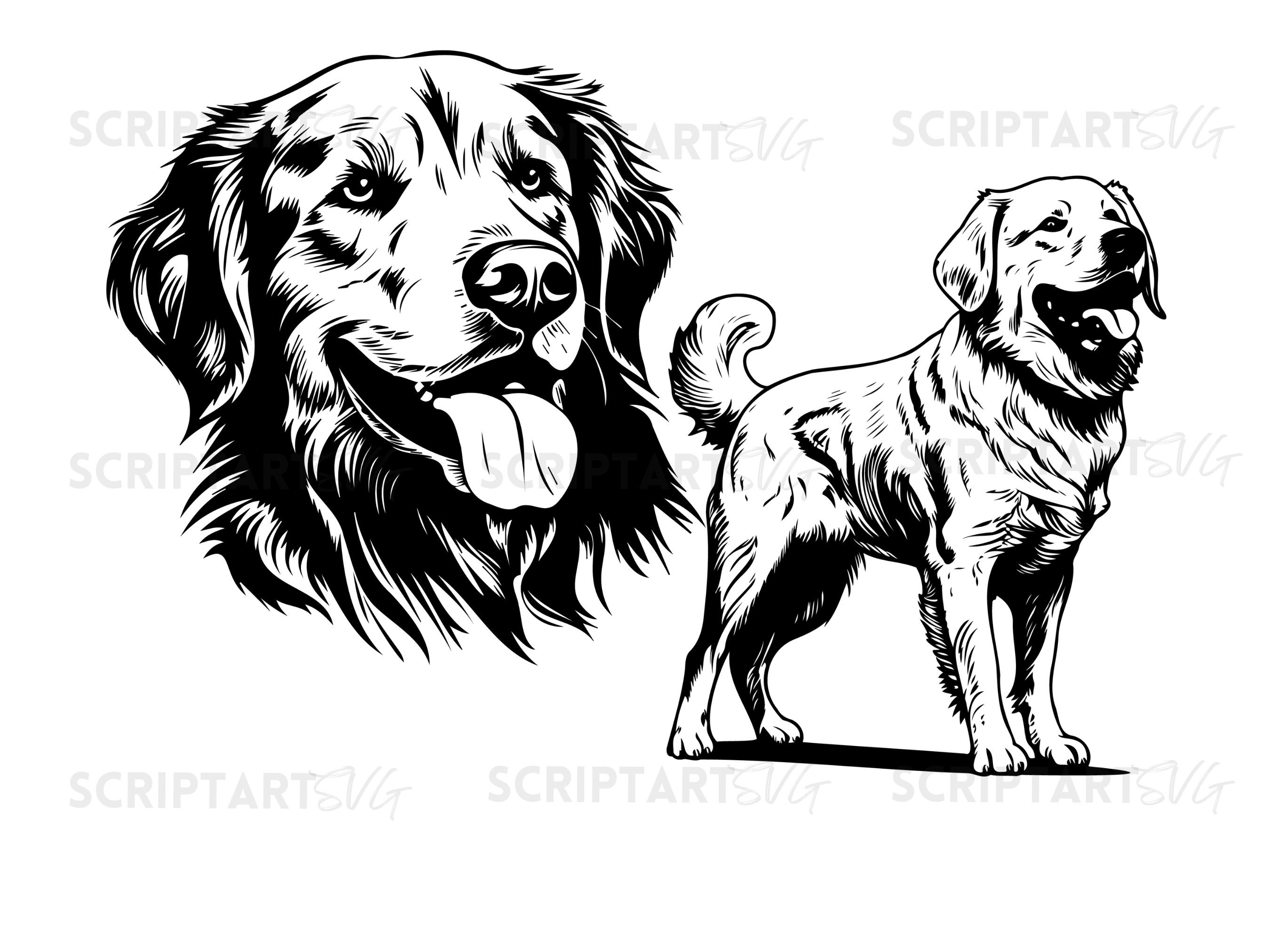 Golden Retriever SVG File Silhouette Golden Retriever Profile Vector ...