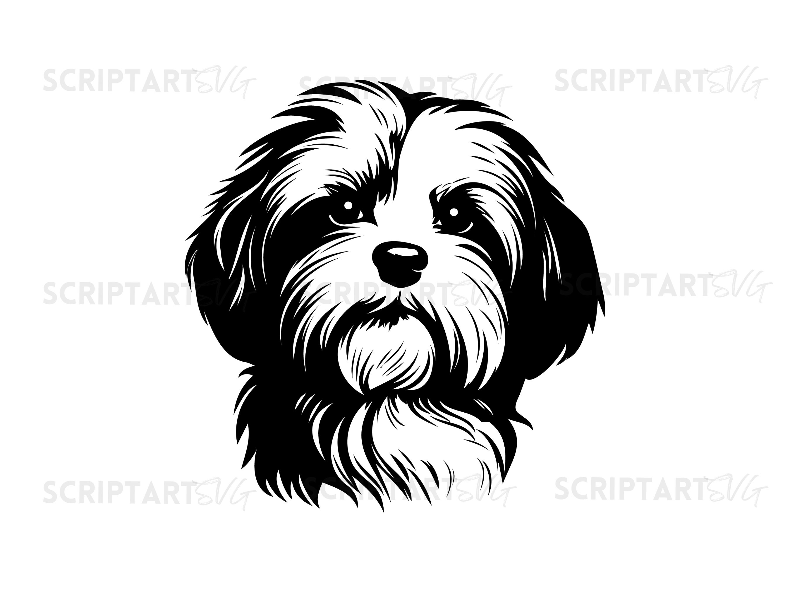 Havanese SVG File Silhouette Havanese Profile Vector Images Clipart Dog ...