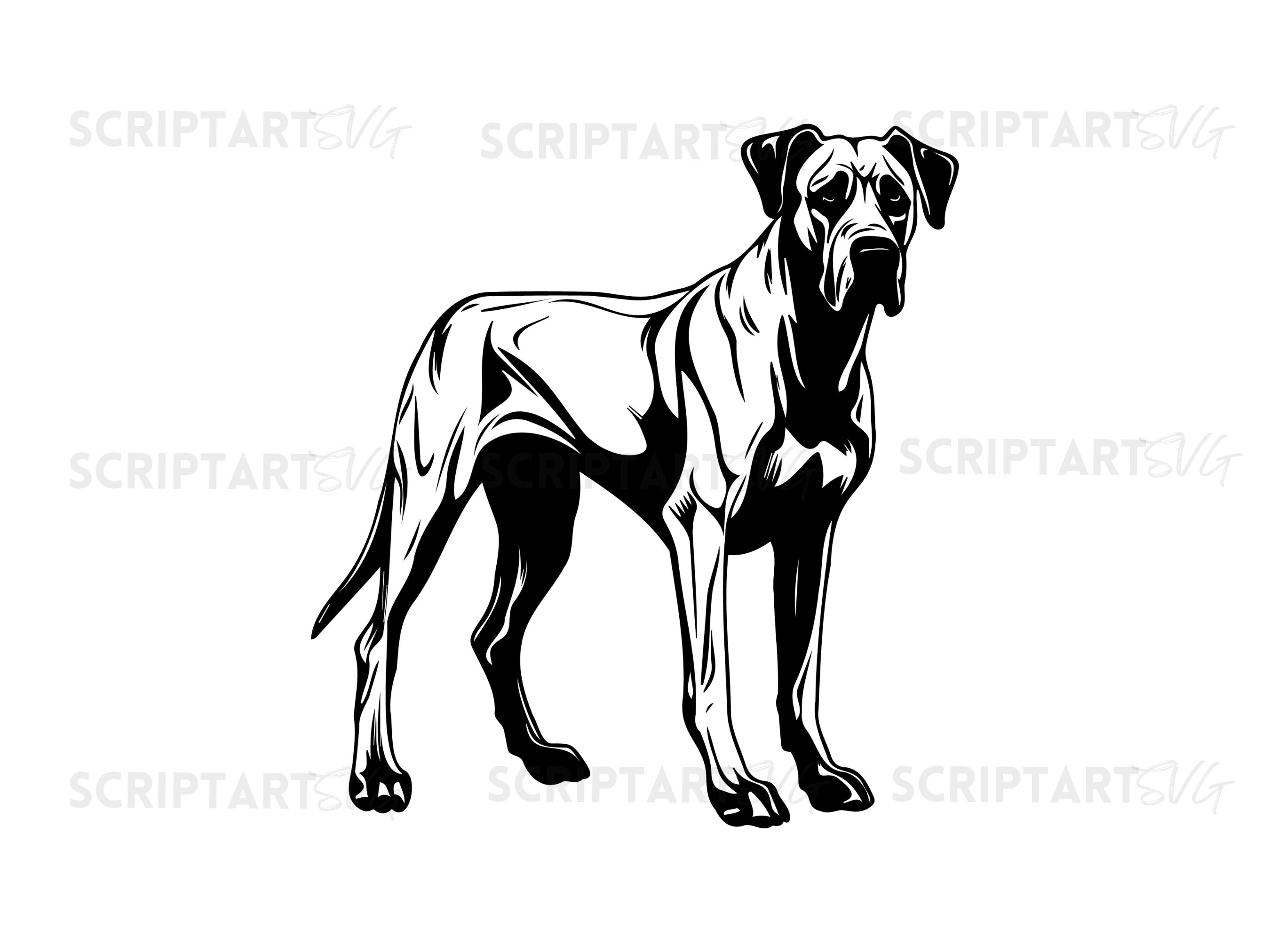 Great Dane SVG File Silhouette Great Dane Profile Vector Images Clipart ...