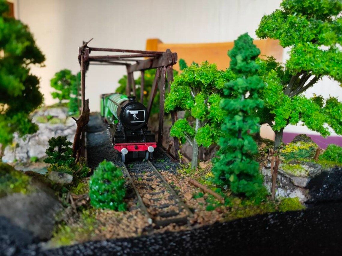 Train Model Diorama Handmade With Flying Scotsman Loco. - Etsy