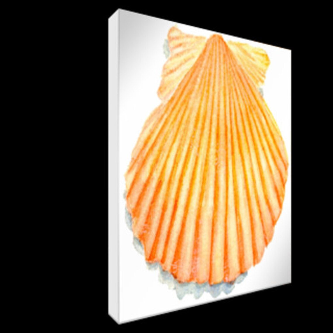 Watercolor Orange Scallop Shell Giclee Print, Canvas, or Card Set ...