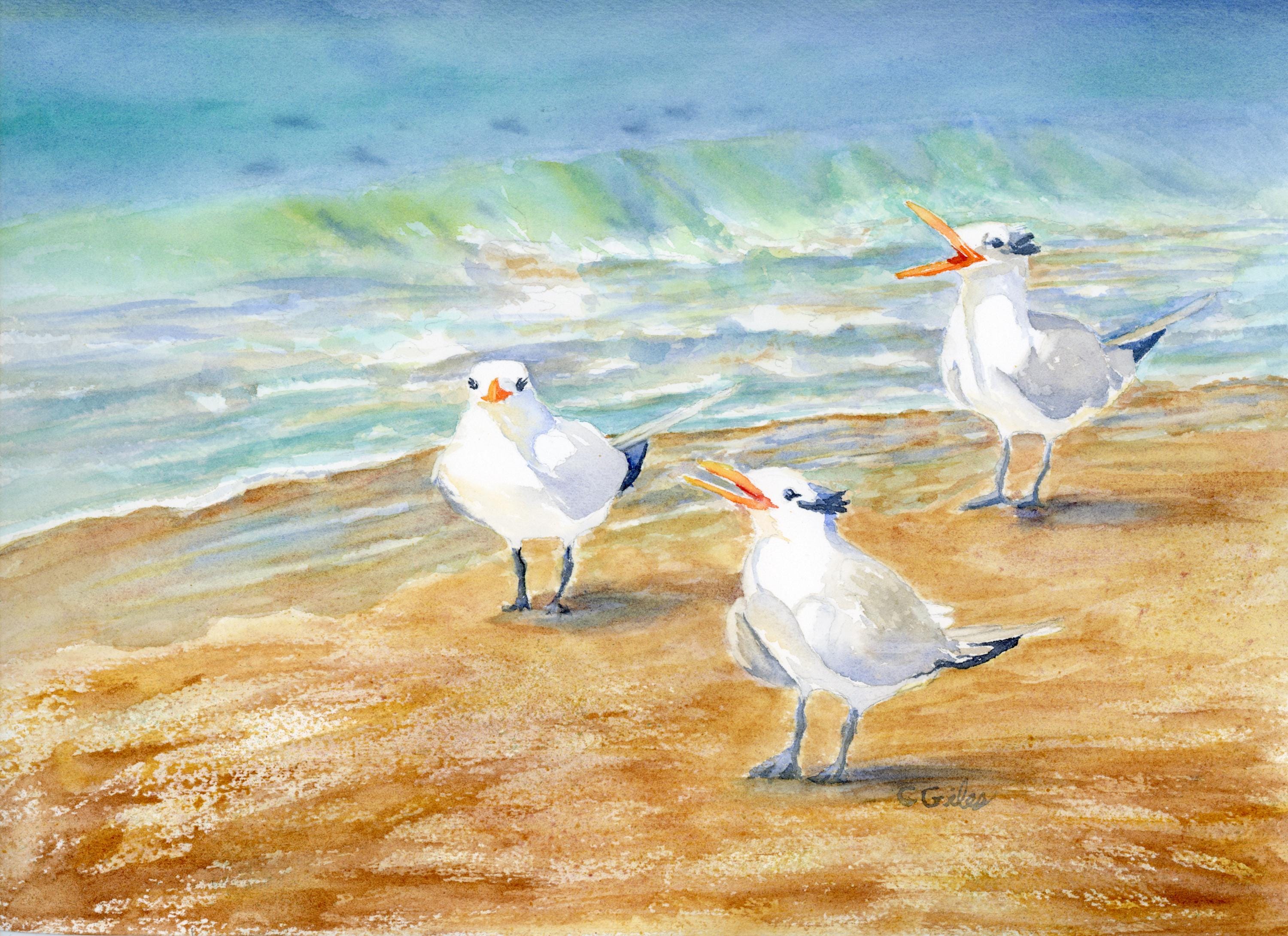 Watercolor Shore Birds on the Beach Giclee Prints Wall Art and Card ...