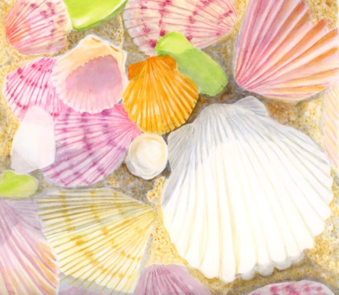 Watercolor "shells on the Beach" Print, Canvas or Cards From My ...
