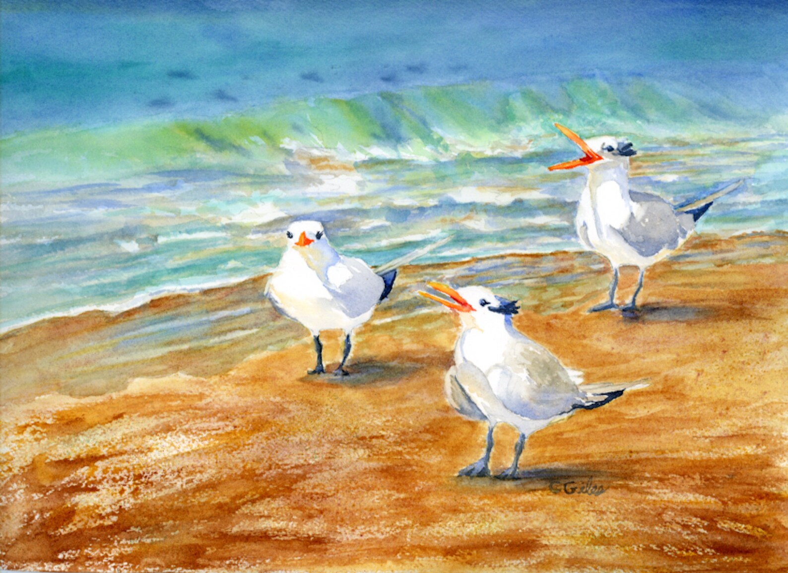 Watercolor Shore Birds on the Beach Giclee Prints Wall Art and Card ...