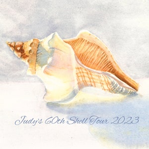 Watercolor Conch Shell in the Light. Giclee Print or Cards of My ...