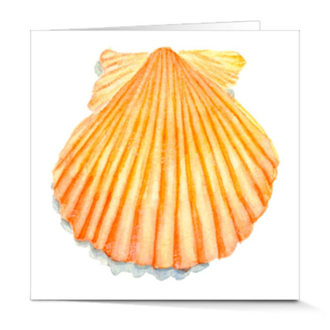 Watercolor Orange Scallop Shell Giclee Print, Canvas, or Card Set ...