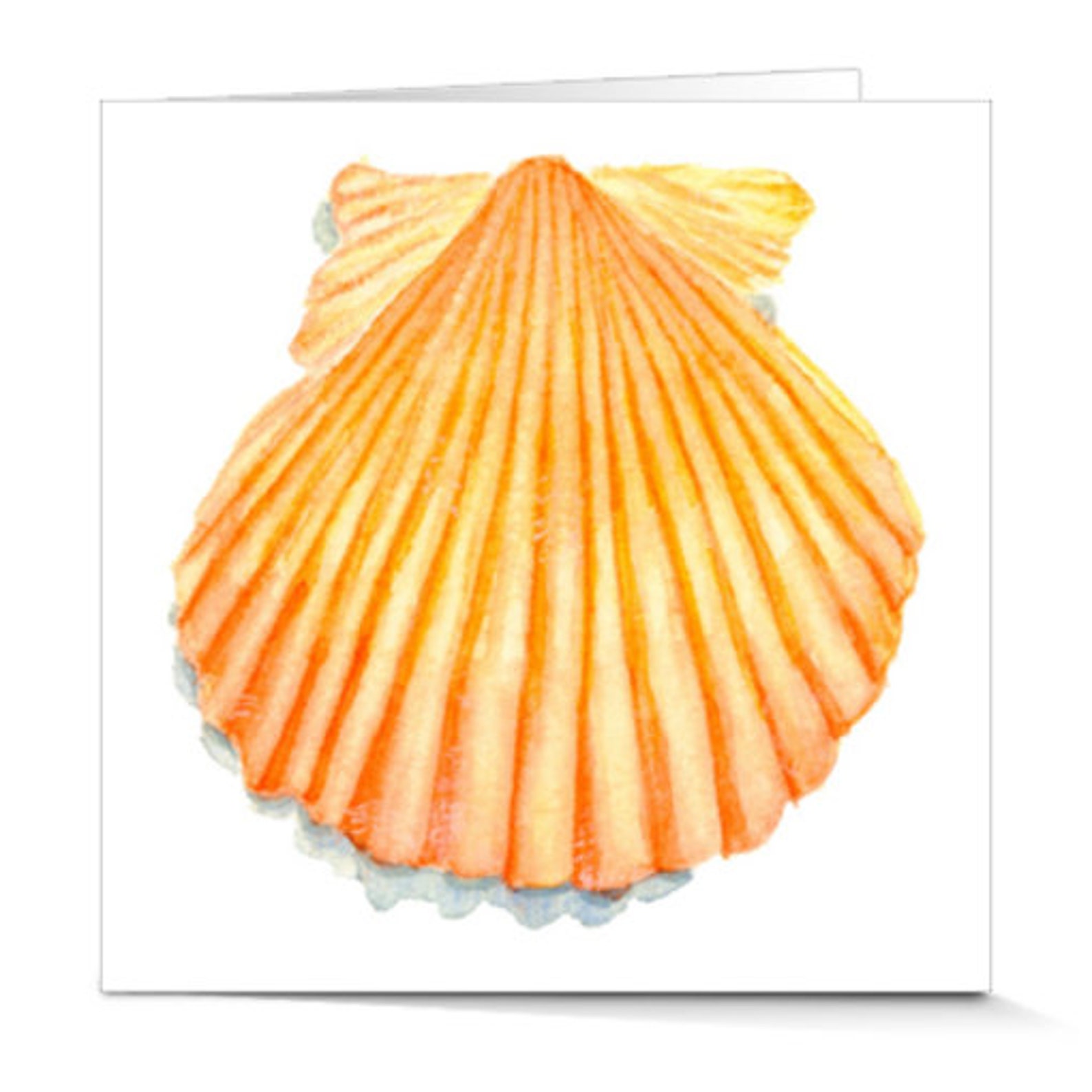 Watercolor Orange Scallop Shell Giclee Print, Canvas, or Card Set ...