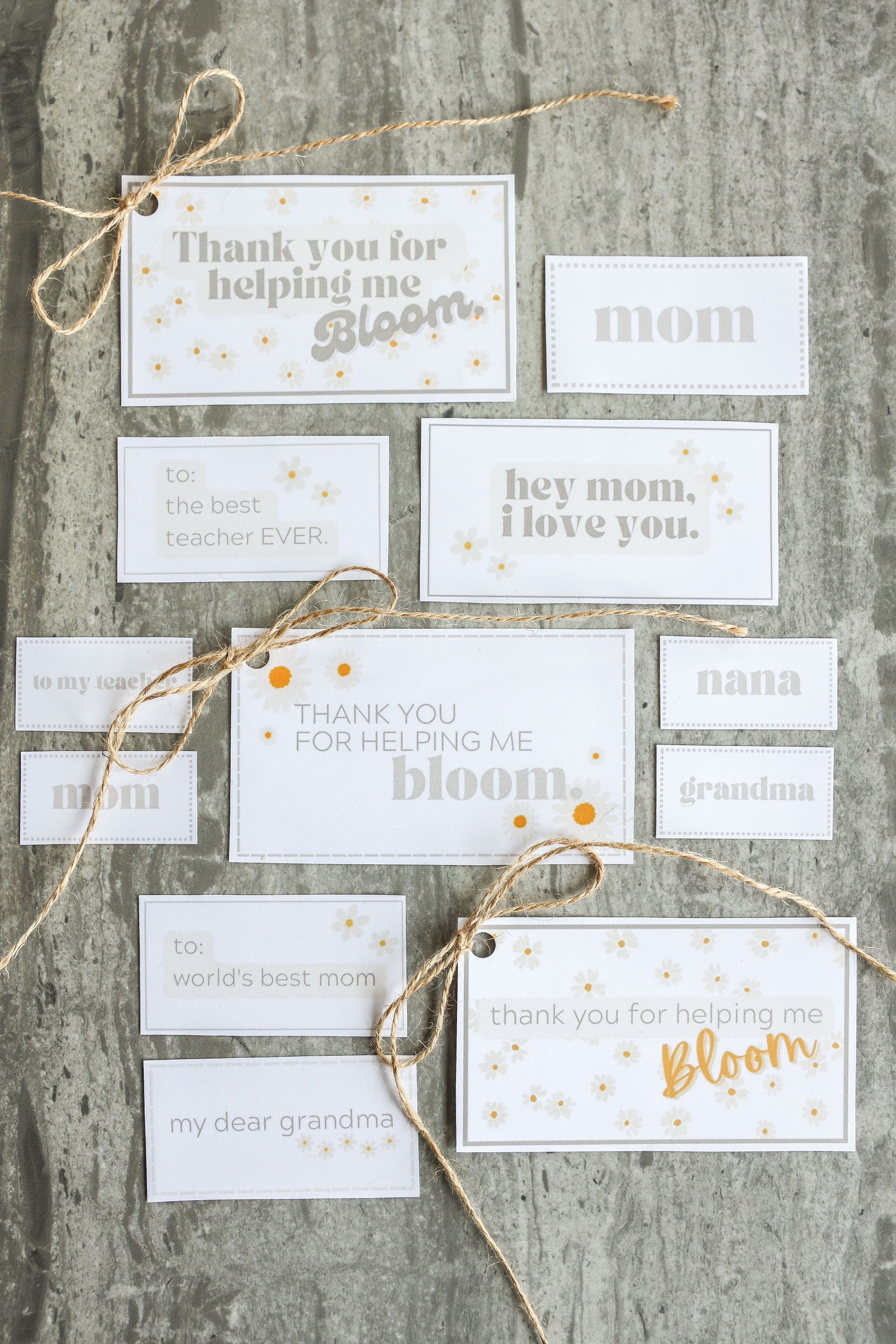 Easy Mother's Day Gift, Teacher Appreciation, Gift for Grandma ...