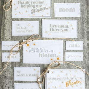 Easy Mother's Day Gift, Teacher Appreciation, Gift for Grandma ...