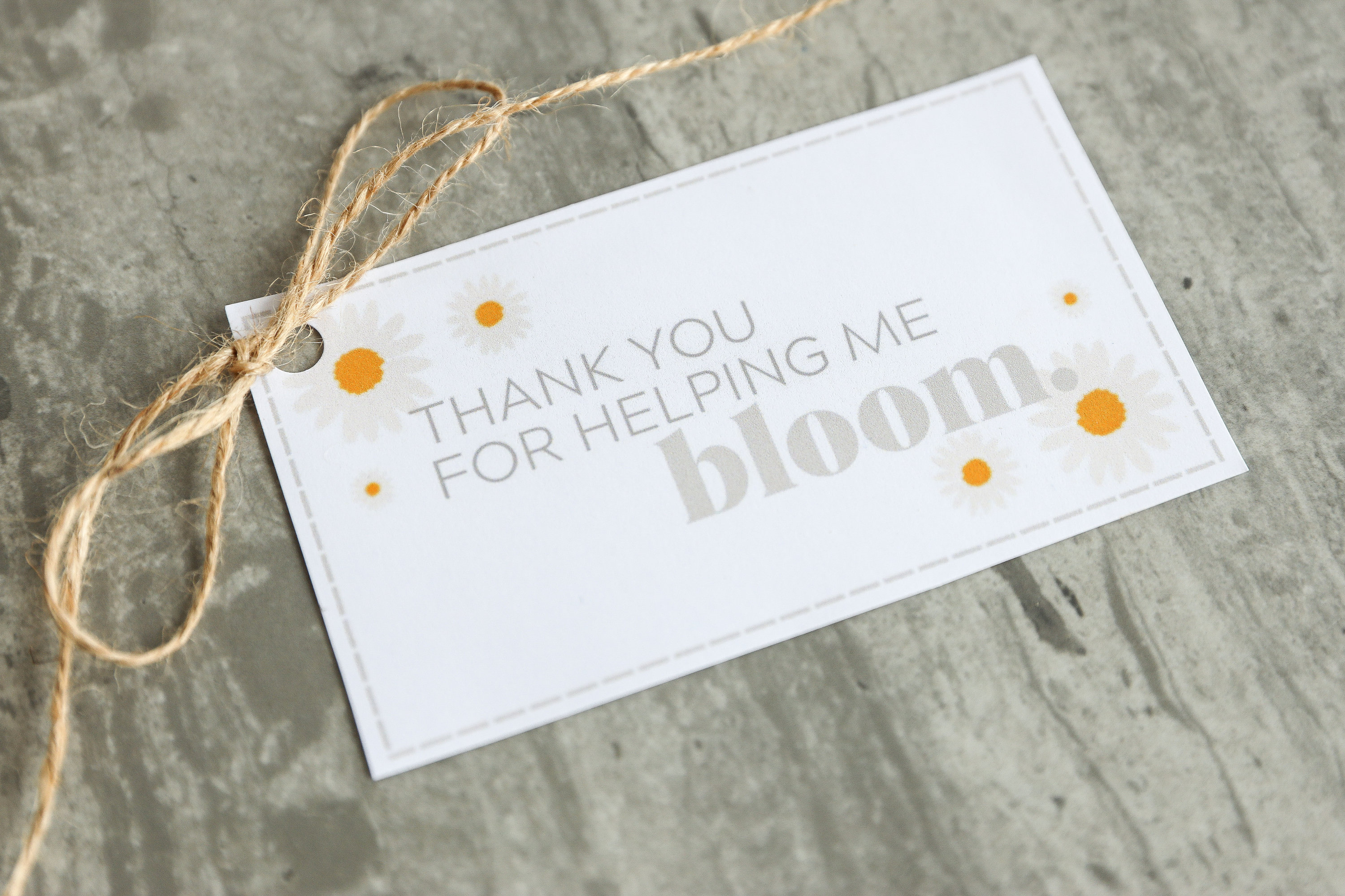 Easy Mother's Day Gift, Teacher Appreciation, Gift for Grandma ...