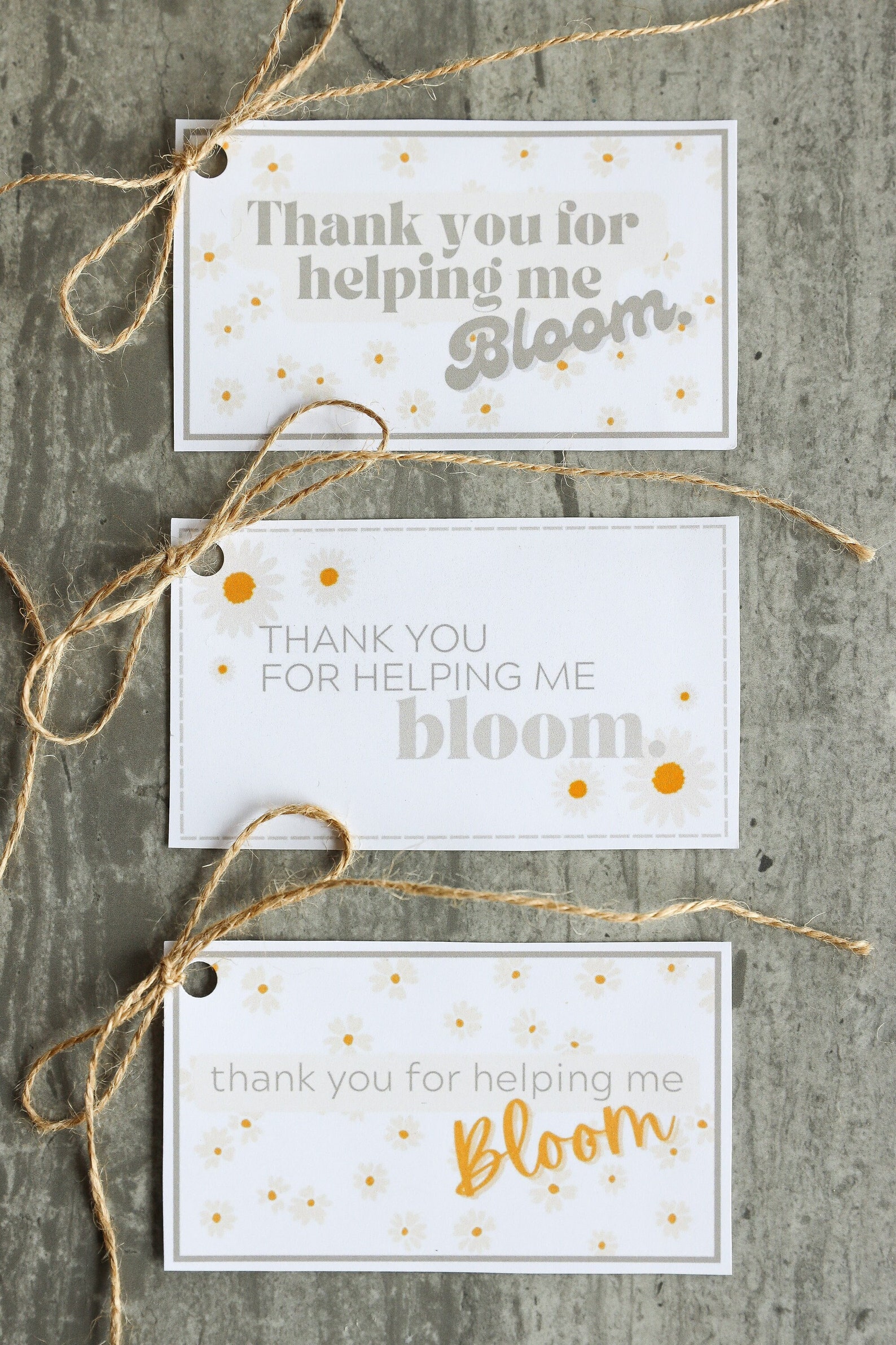 Easy Mother's Day Gift, Teacher Appreciation, Gift for Grandma ...