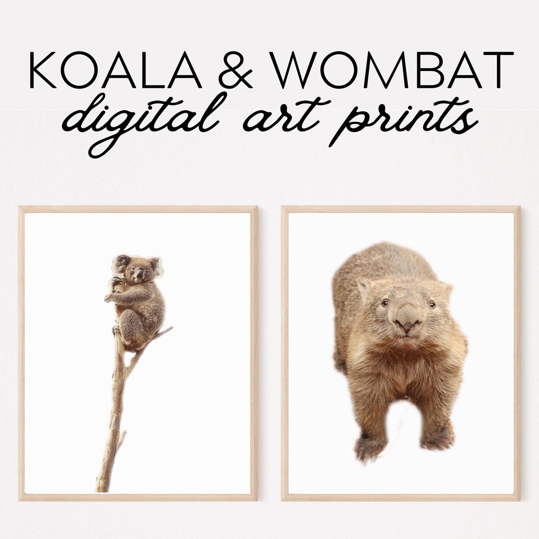 Koala and Wombat Art Set, Australian Wildlife, Outback Nursery, Kids ...