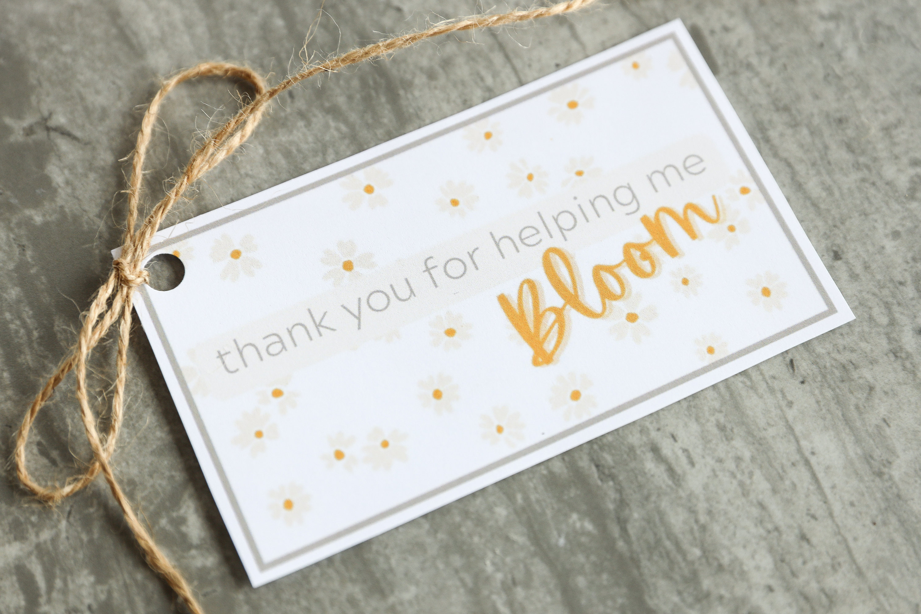 Easy Mother's Day Gift, Teacher Appreciation, Gift for Grandma ...