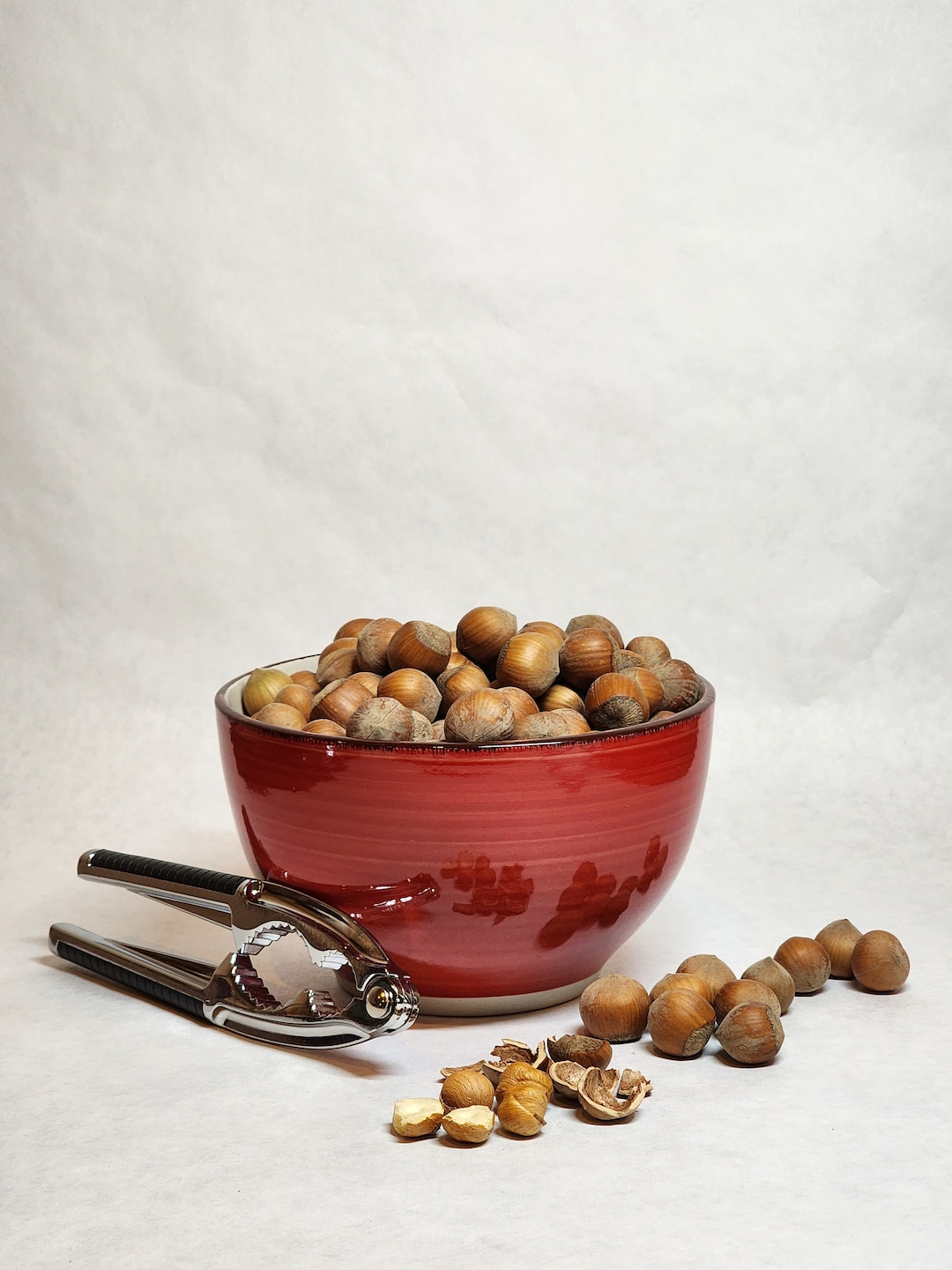 In Shell Hazelnuts Roasted and Raw. Grown in Our Family's - Etsy