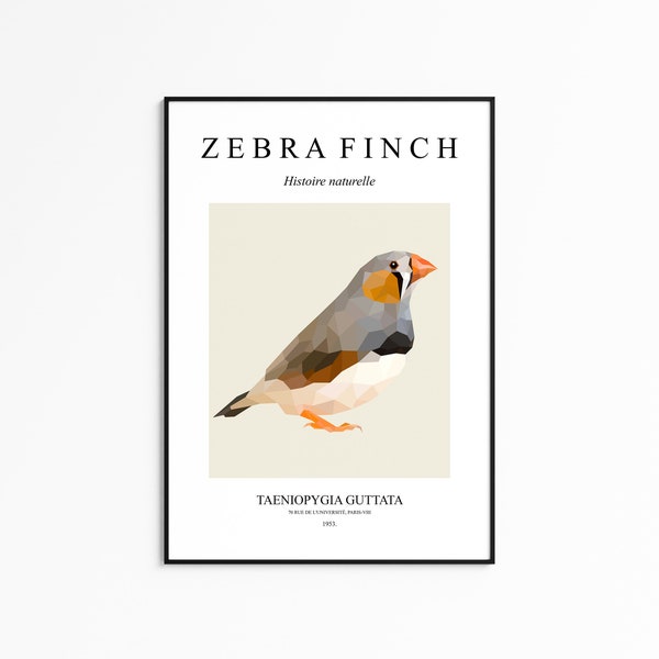 Zebra Finch - Etsy