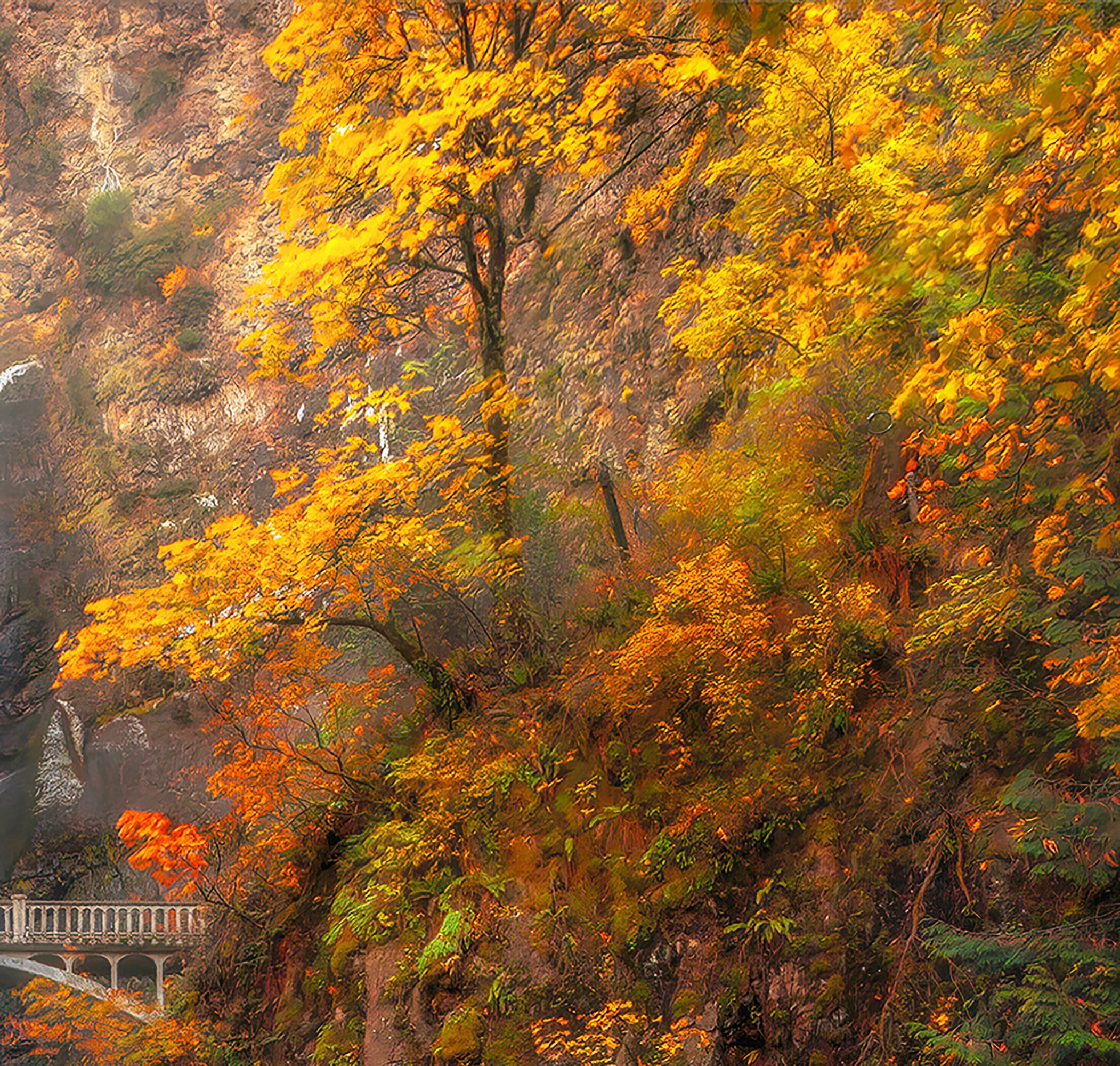 Instant Printable Download Digital Image Original Art Wall Poster ...