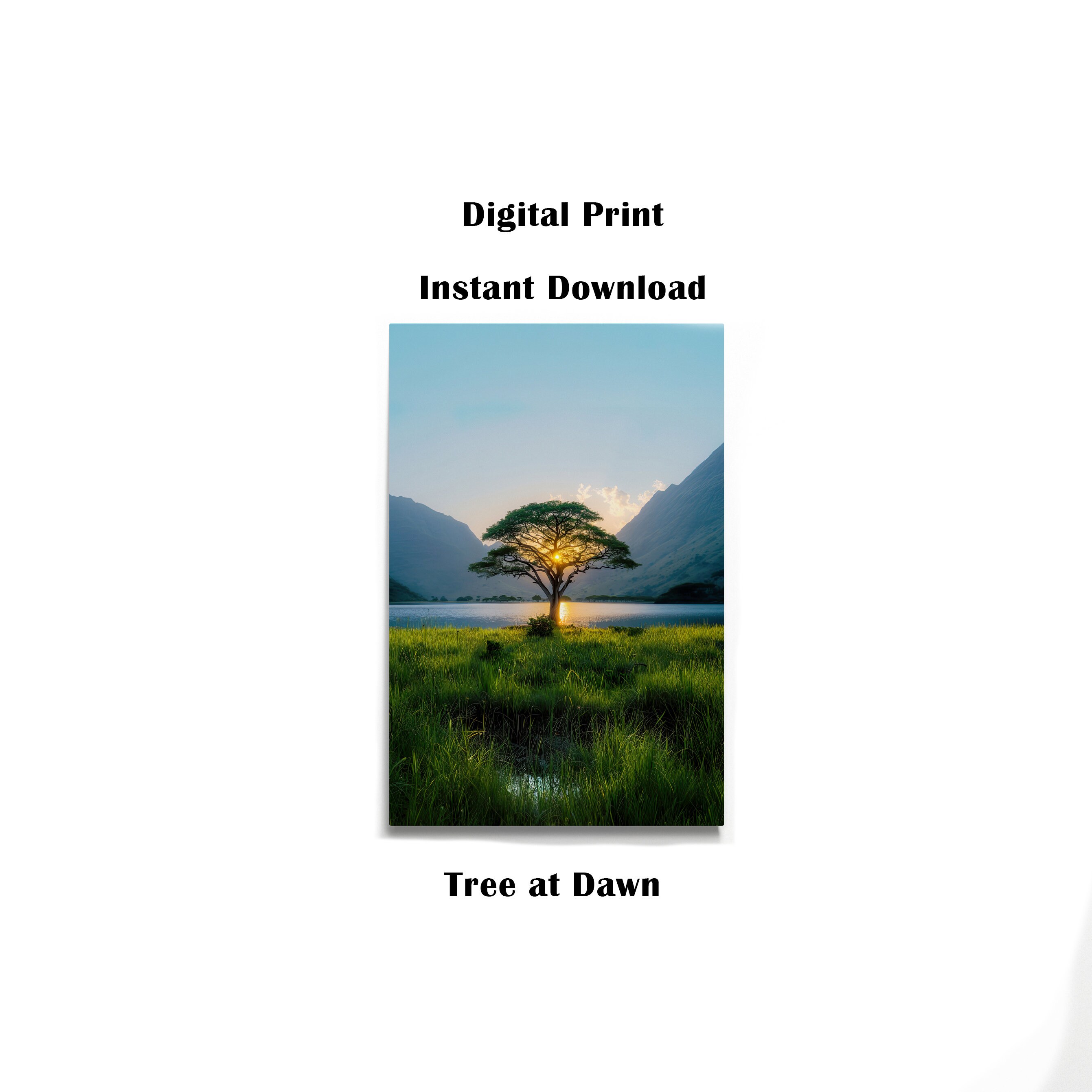 Tree at Dawn Printable Wall Art Digital Image Print Instant Download ...