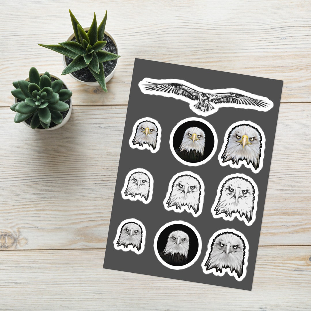 Bird of Prey Sticker Sheet Raptor Stickers Animal Stickers Bird Sticker ...