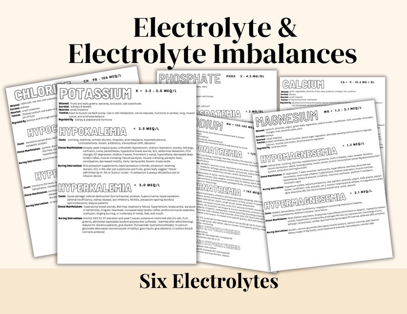 Electrolyte & Electrolyte Imbalances Study Guide Digital Download K ...