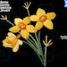 Birth Month Flowers Clipart, Birth Month Flowers, Birth Month Flowers ...