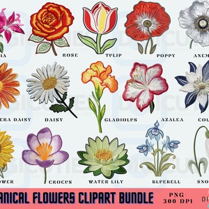 Botanical Flowers Clipart Bundle, Botanical Wildflowers, Botanical ...