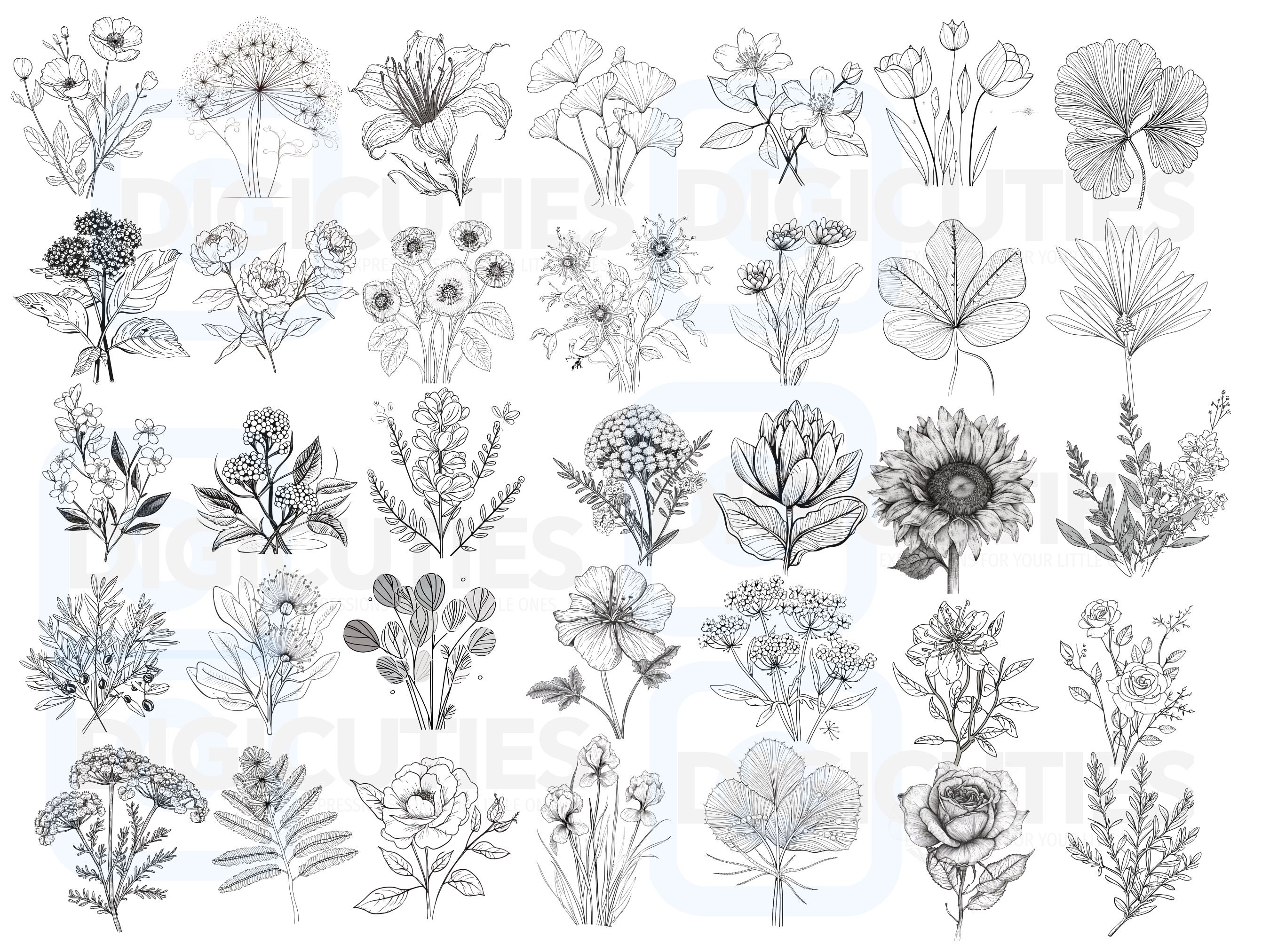 Wildflowers Botanical Svg Bundle, Botanical Svg, Wildflowers Botanical ...