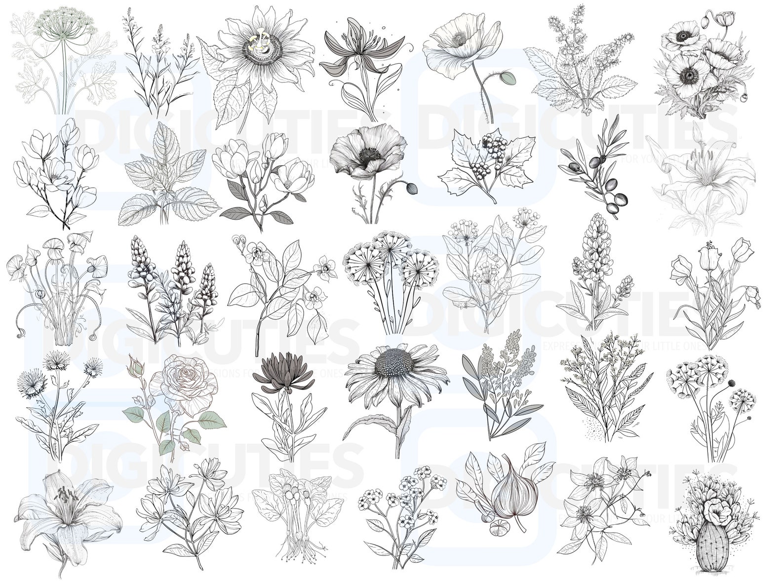 Wildflowers Botanical Svg Bundle, Botanical Svg, Wildflowers Botanical ...
