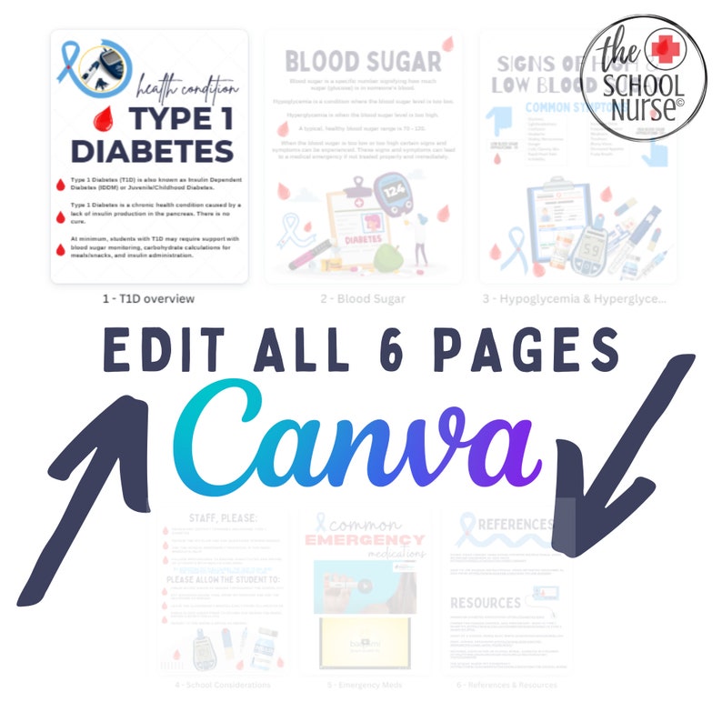 Type 1 Diabetes School Staff Education by the School Nurse - Etsy