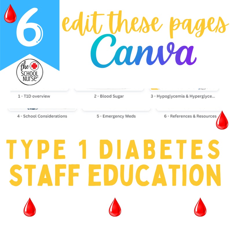 Type 1 Diabetes School Staff Education by the School Nurse - Etsy