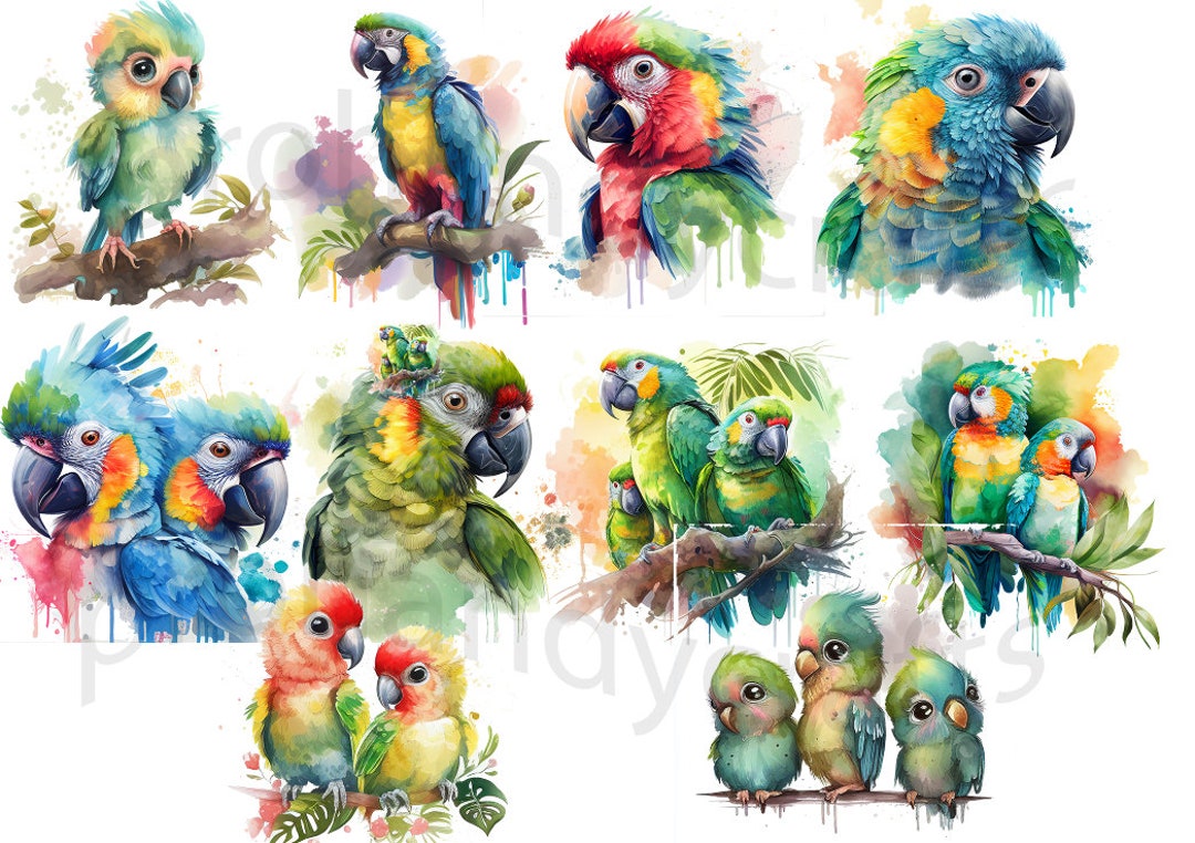 10 Watercolor Parrot Digital Clipart, Jungle Parrot PNG, Parrot ...