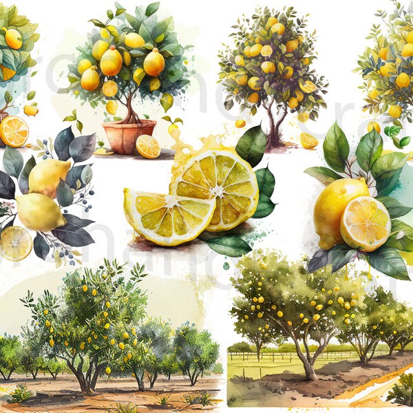 Lemon Tree Cards - Etsy