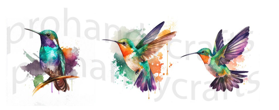 Elegant Hummingbird Digital Download Botanical Hummingbird - Etsy