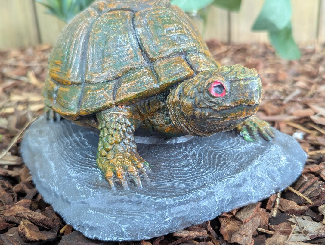 Eastern Box Turtle Garden Statue: Cement Turtle With Hide-a-key - Etsy